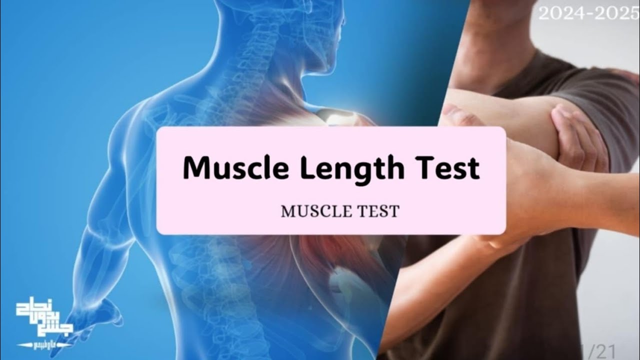 Muscle length test, Muscle test 1 - YouTube
