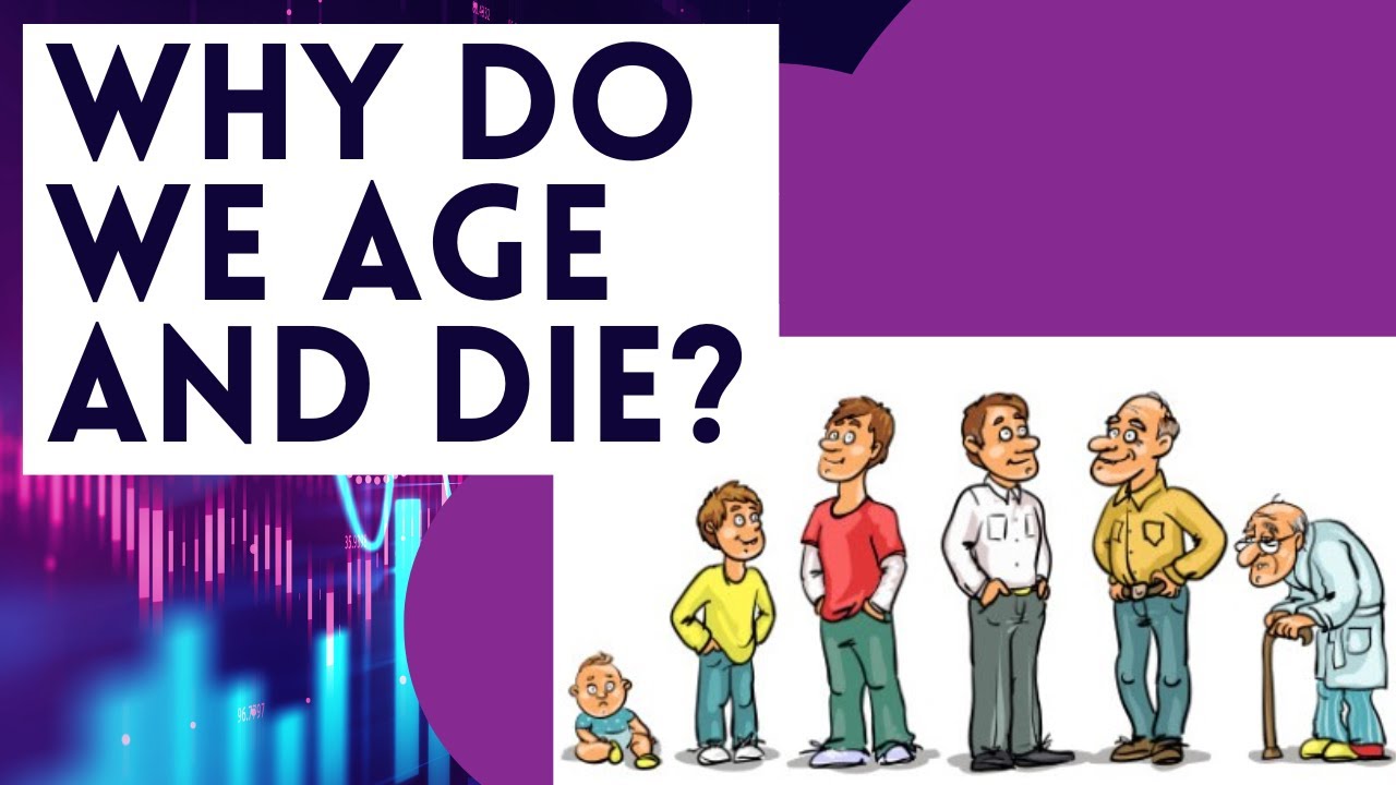 Why do we Age and Die? #healthspanculture - YouTube