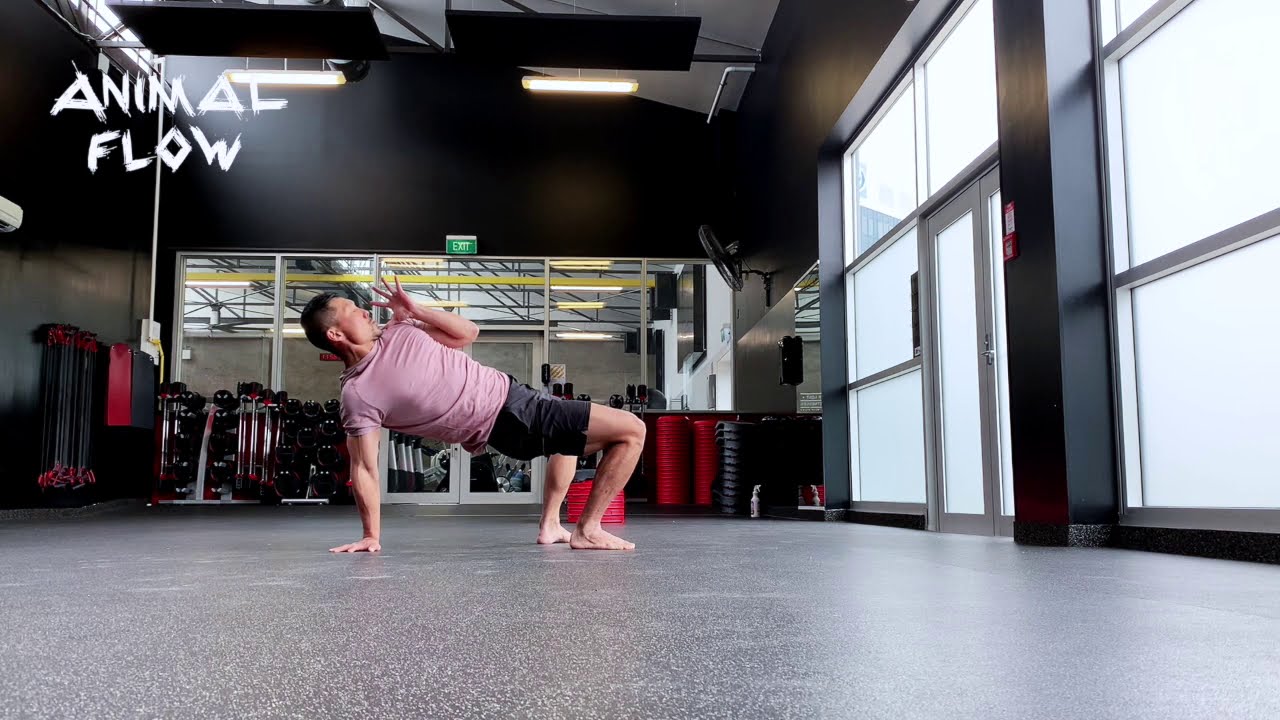 Animal Flow drills - YouTube