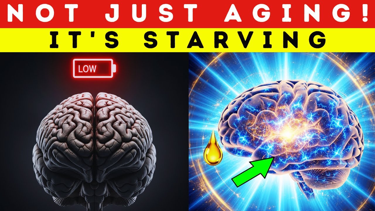 Your Brain Is NOT Just Aging: 5 Signs It's Actually Starving (Fix It ...