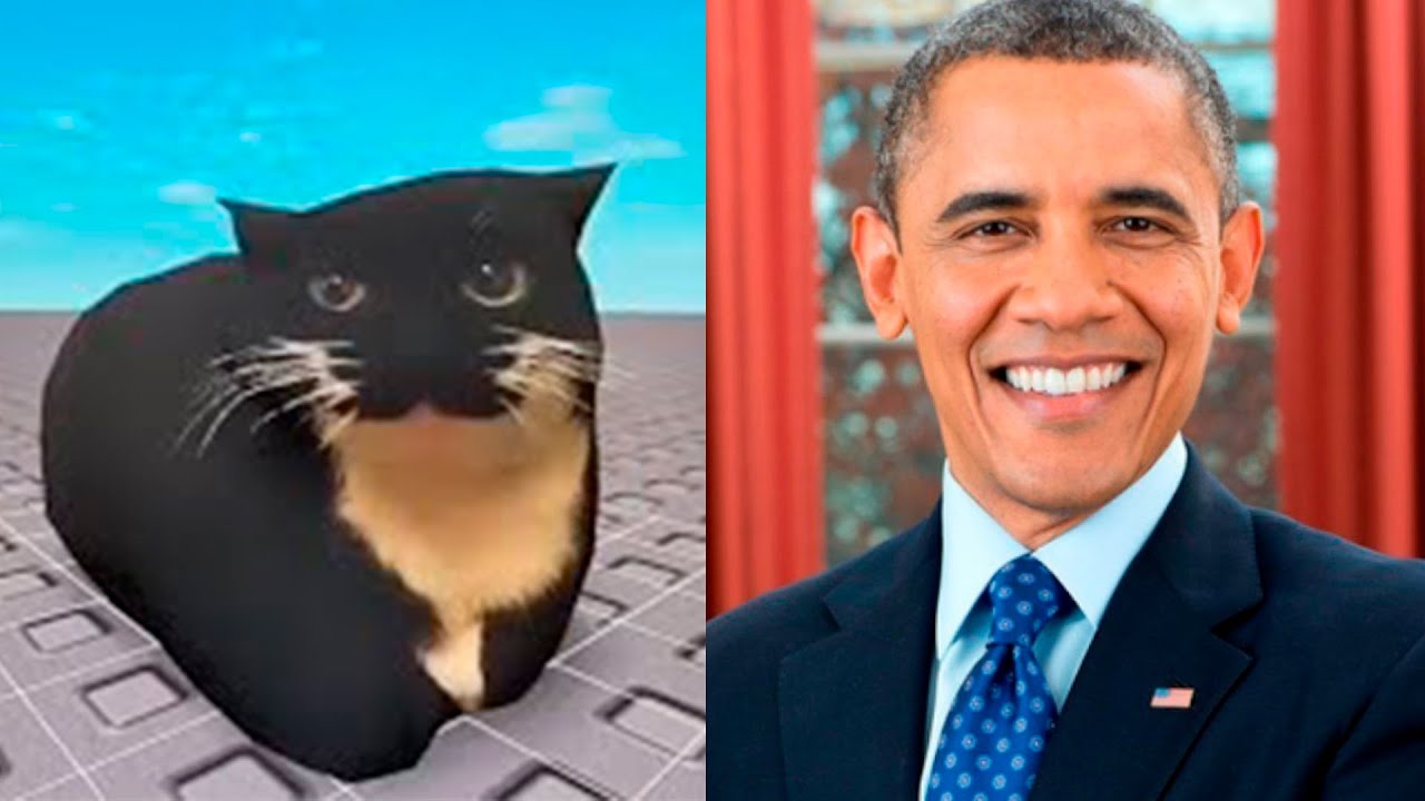 Maxwell Cat meme - Obama portrait - YouTube