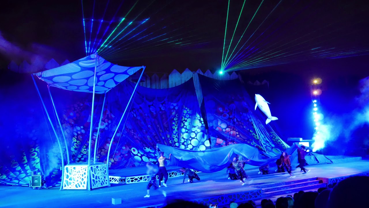 Dolphin Drone at Seaworld - YouTube