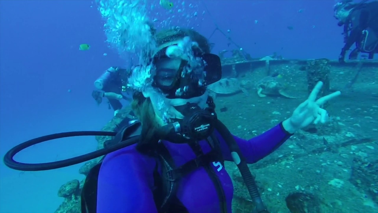 Sea Tiger and HorseShoe Reef- Hawaii SCUBA - YouTube