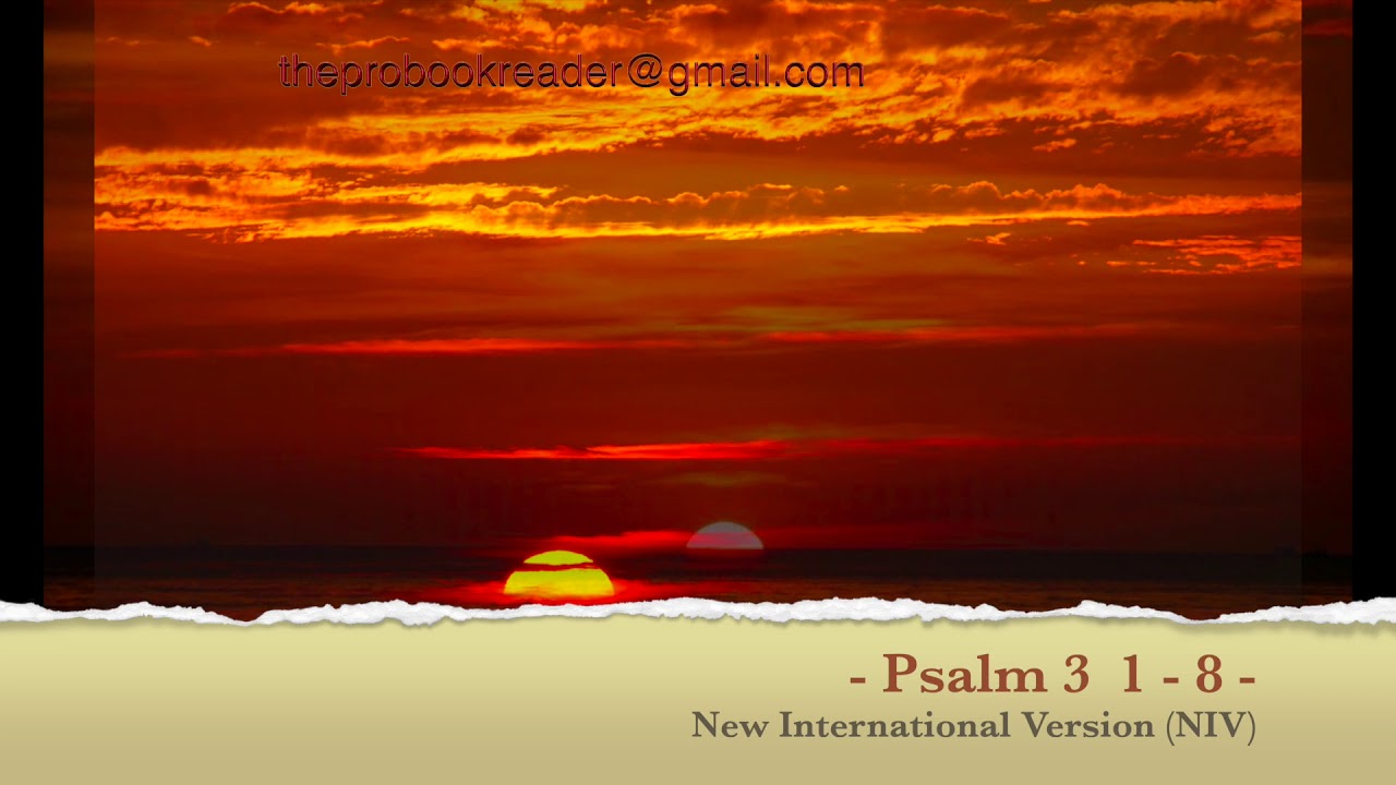 Psalm 3 1 8 Bible Scripture Reading NIV YouTube Psalm 3 1 8 Bible Scripture Reading NIV YouTube