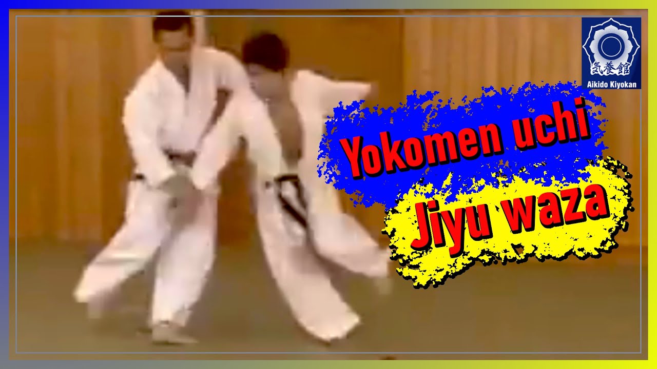 Classic Yoshinkan yokomen uchi jiyu waza #training #kiyokan # ...