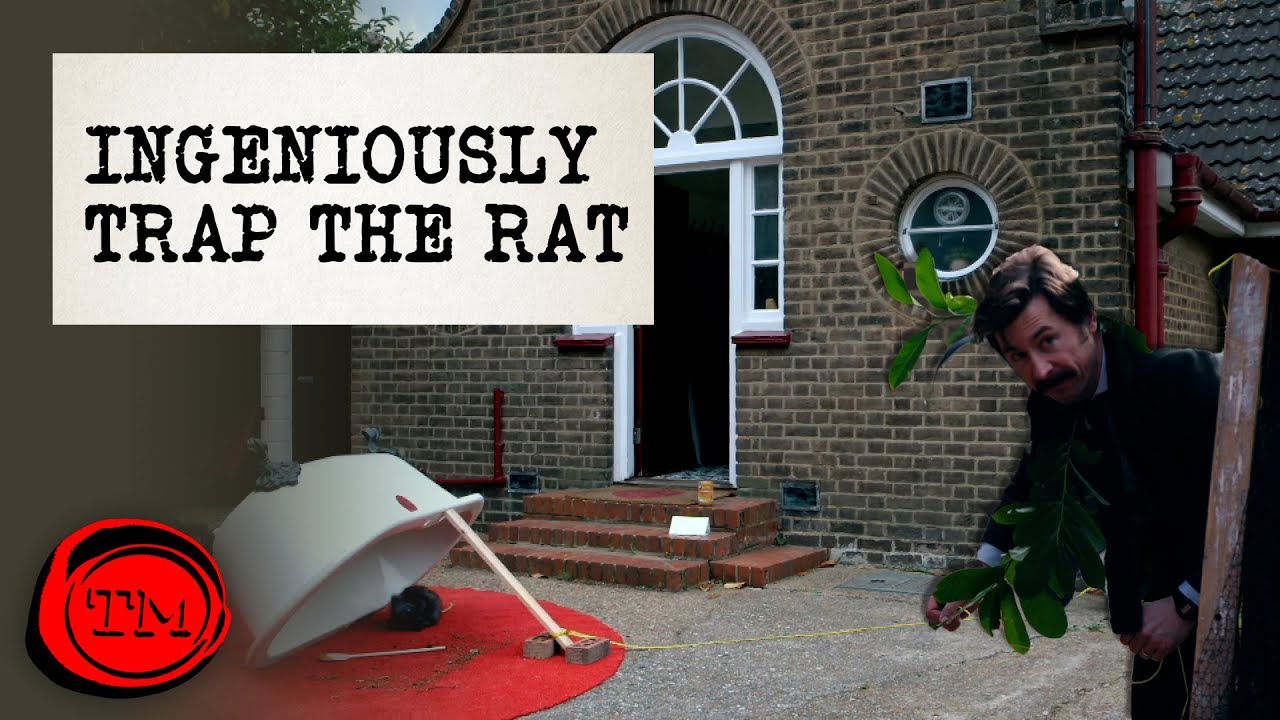 Trap the Rat in the Most Ingenious Way | Full Task | Taskmaster - YouTube