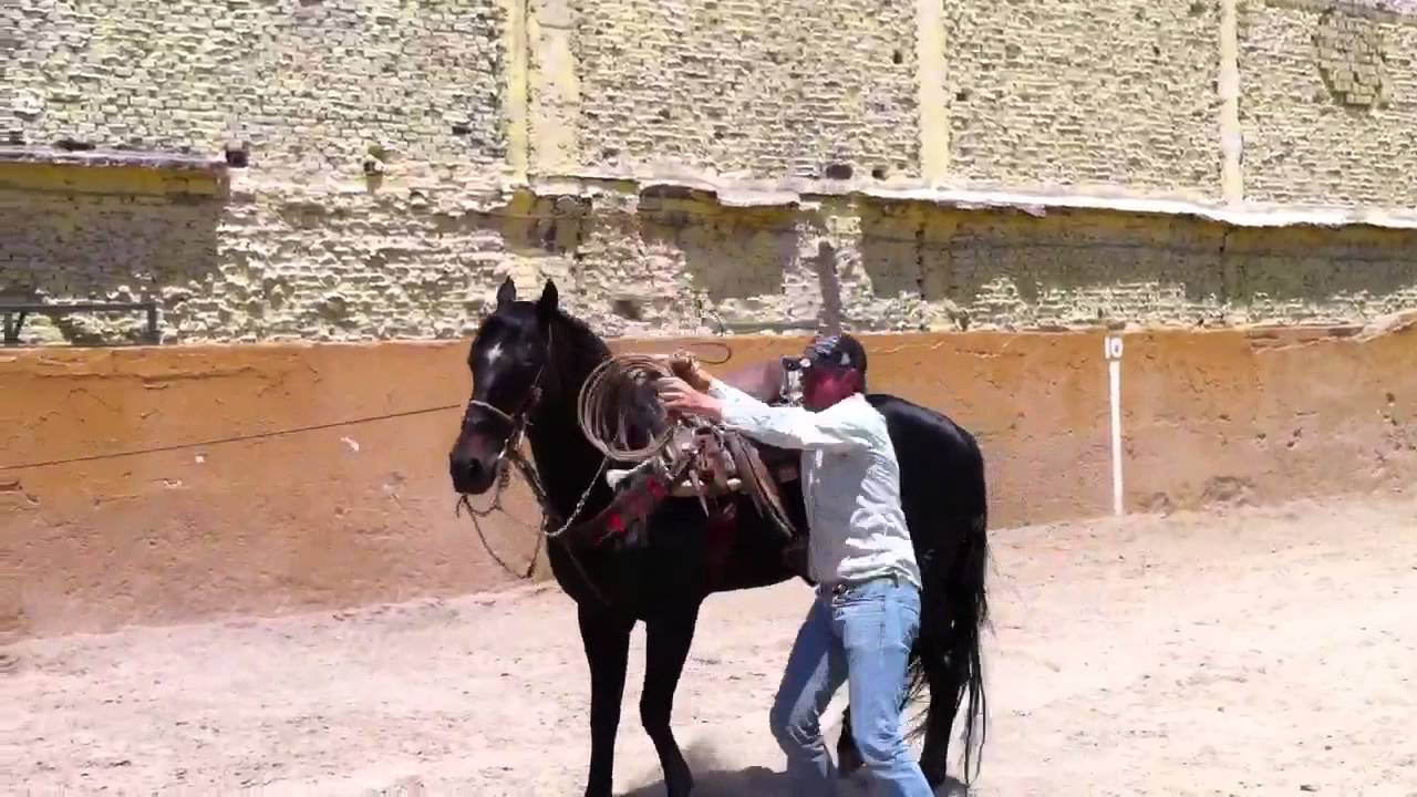 Piales de Charros de Jalisco - YouTube
