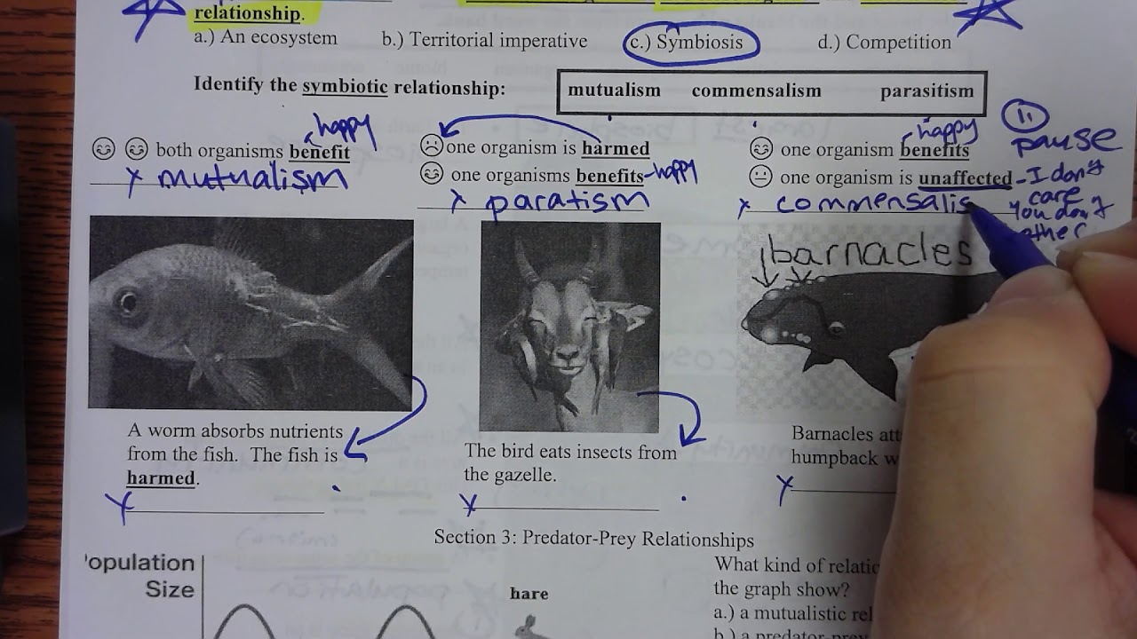 Unit 3 Study Guide - YouTube