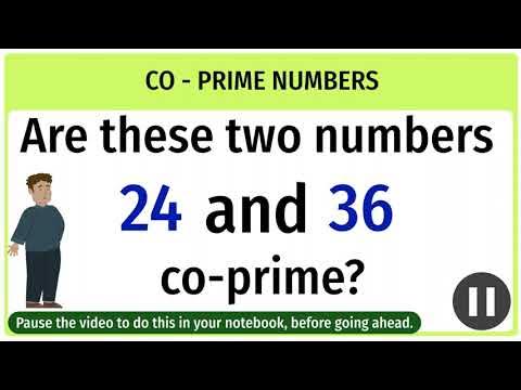Learn | Co-Prime Numbers | Conceptual Maths Grade 5 | Animated Content ...
