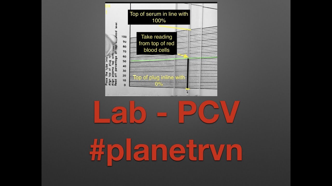 #planetrvn - How to prepare and read a PCV - YouTube