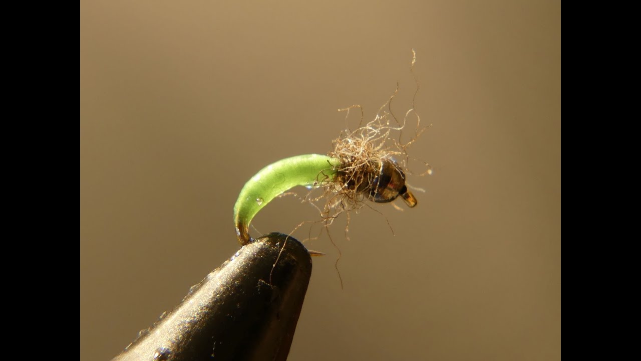 Green Caddis Pupa Nymph Size #18 - YouTube