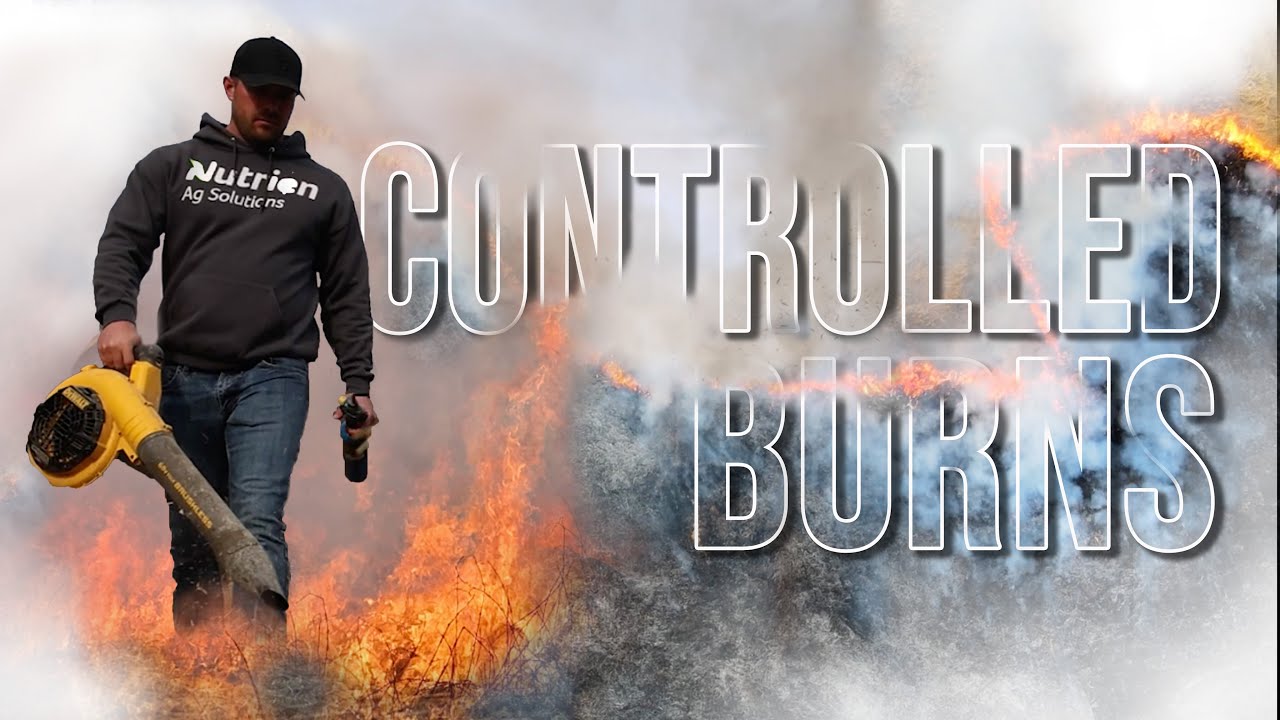 5 Ways Controlled Burning Improves Habitat Quality! - YouTube