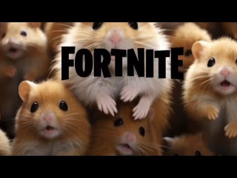LA INVASIÓN DE LOS HAMSTERS EN FORTNITE - YouTube