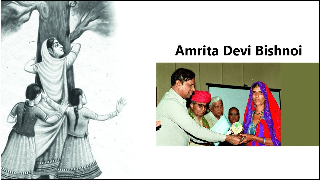 Learning from real story (Nature's love) - Amrita Devi (English) - YouTube