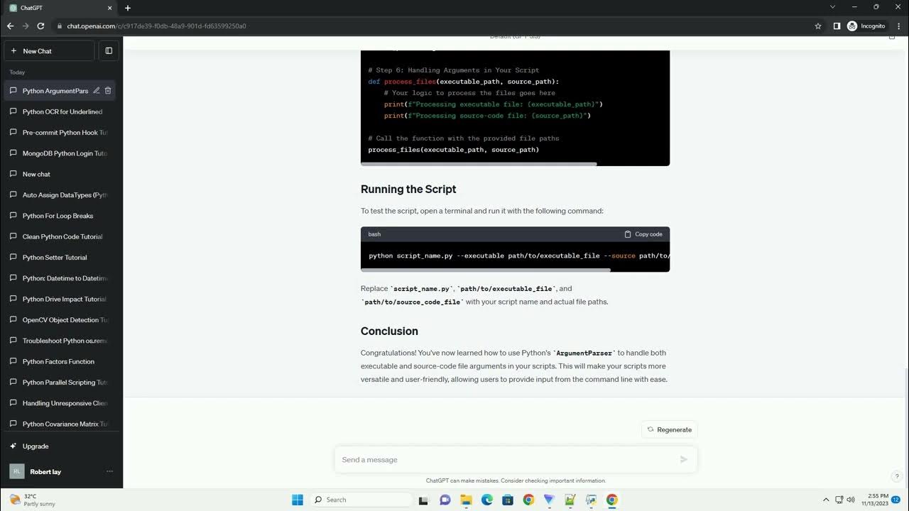 python Argumentparser executable file and source code file as arguments - YouTube