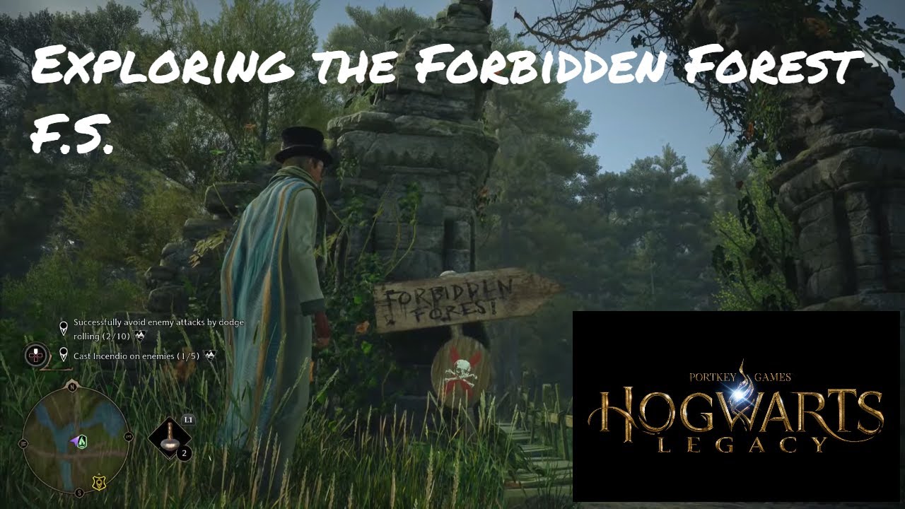 Hogwarts Legacy - Forbidden Forest Gameplay - YouTube