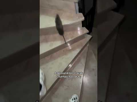 Gt🥲💔WHATSAPP VƏ INSTAGRAM ÜÇÜN  MARAĞLI,QƏMLİ,AĞLAMALI VİDEOLAR#kesfet#global#viralvideo#youtube