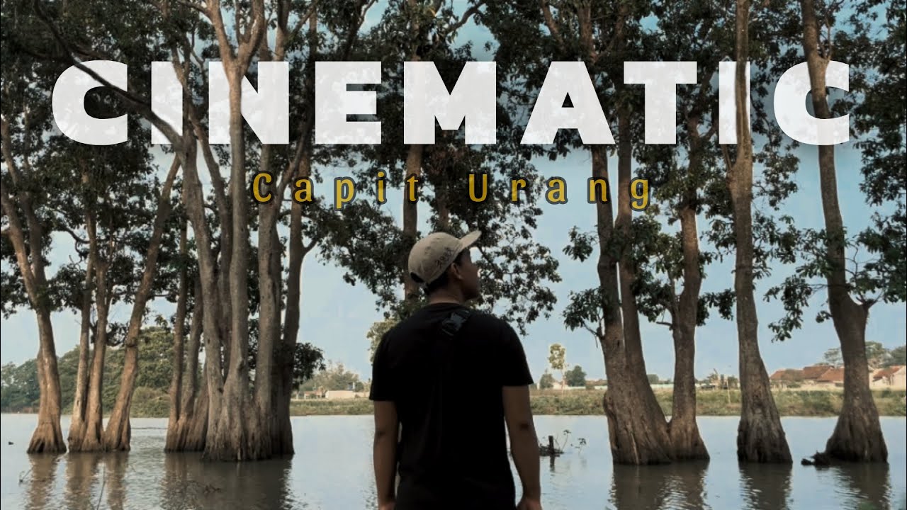 Cinematic Alam || Eksplore Alam, Wisata Capit Urang Metro - YouTube