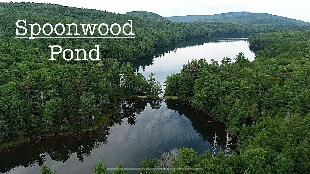 Remote Canoe Overnight on Spoonwood Pond - YouTube