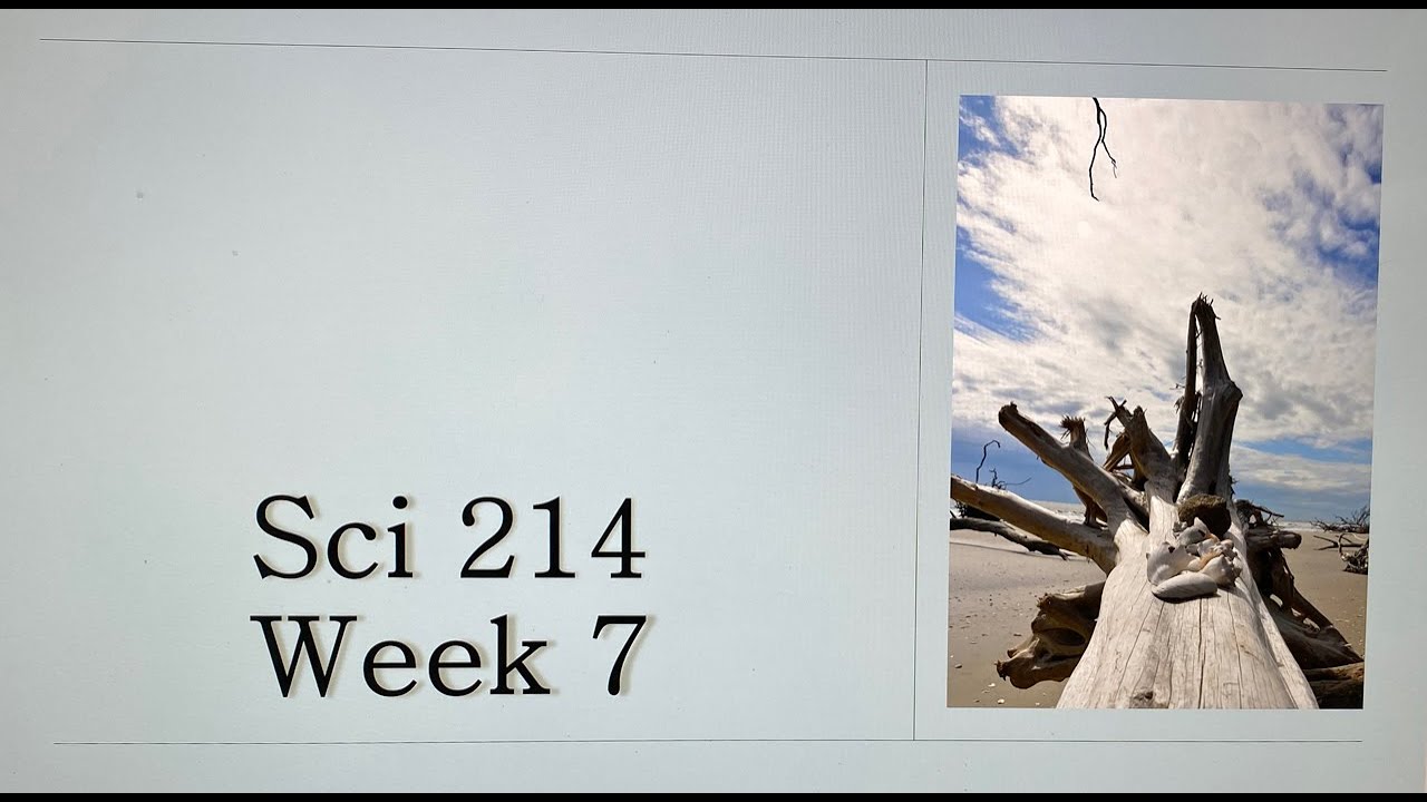 Sci 214 Week 7 Apr 2025 - YouTube