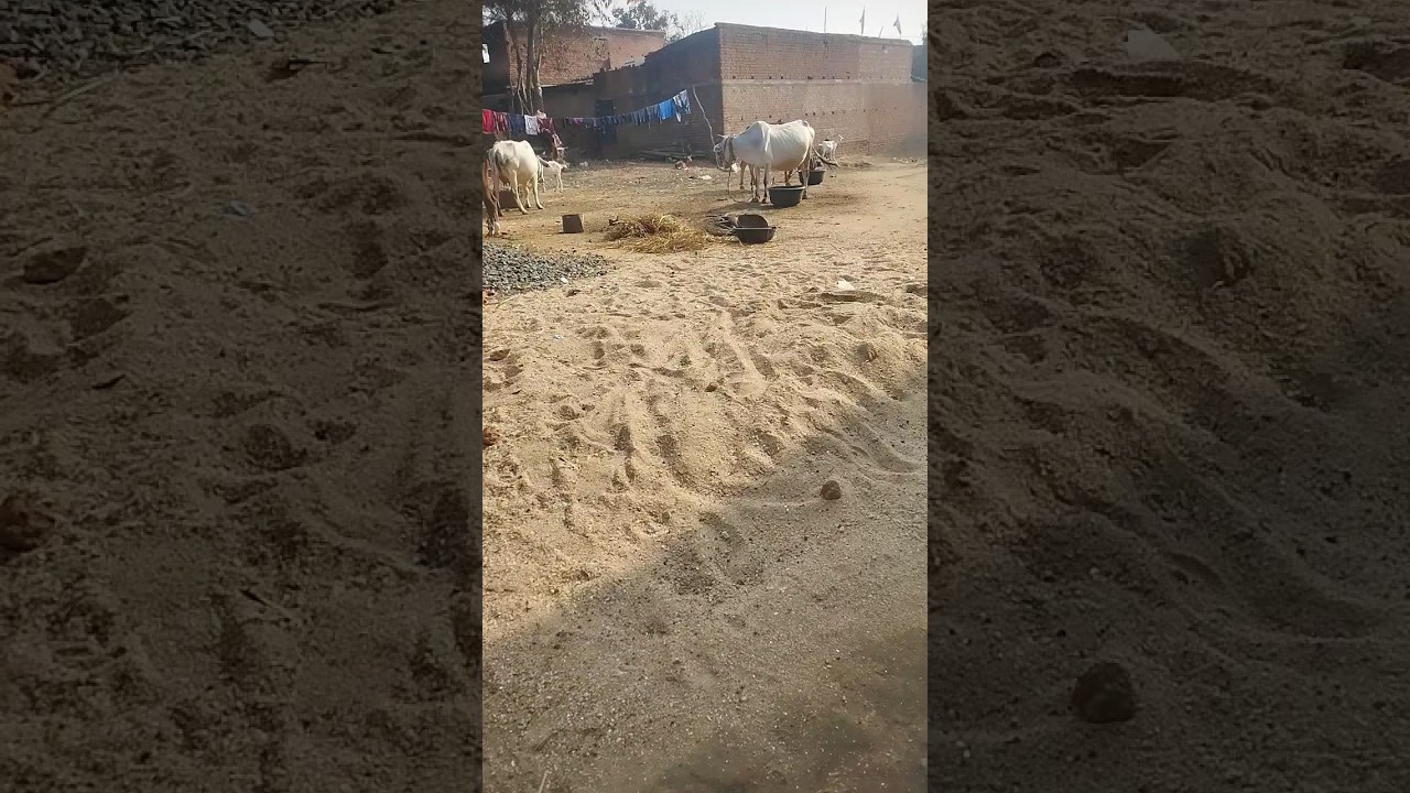 16 April 2024 - YouTube