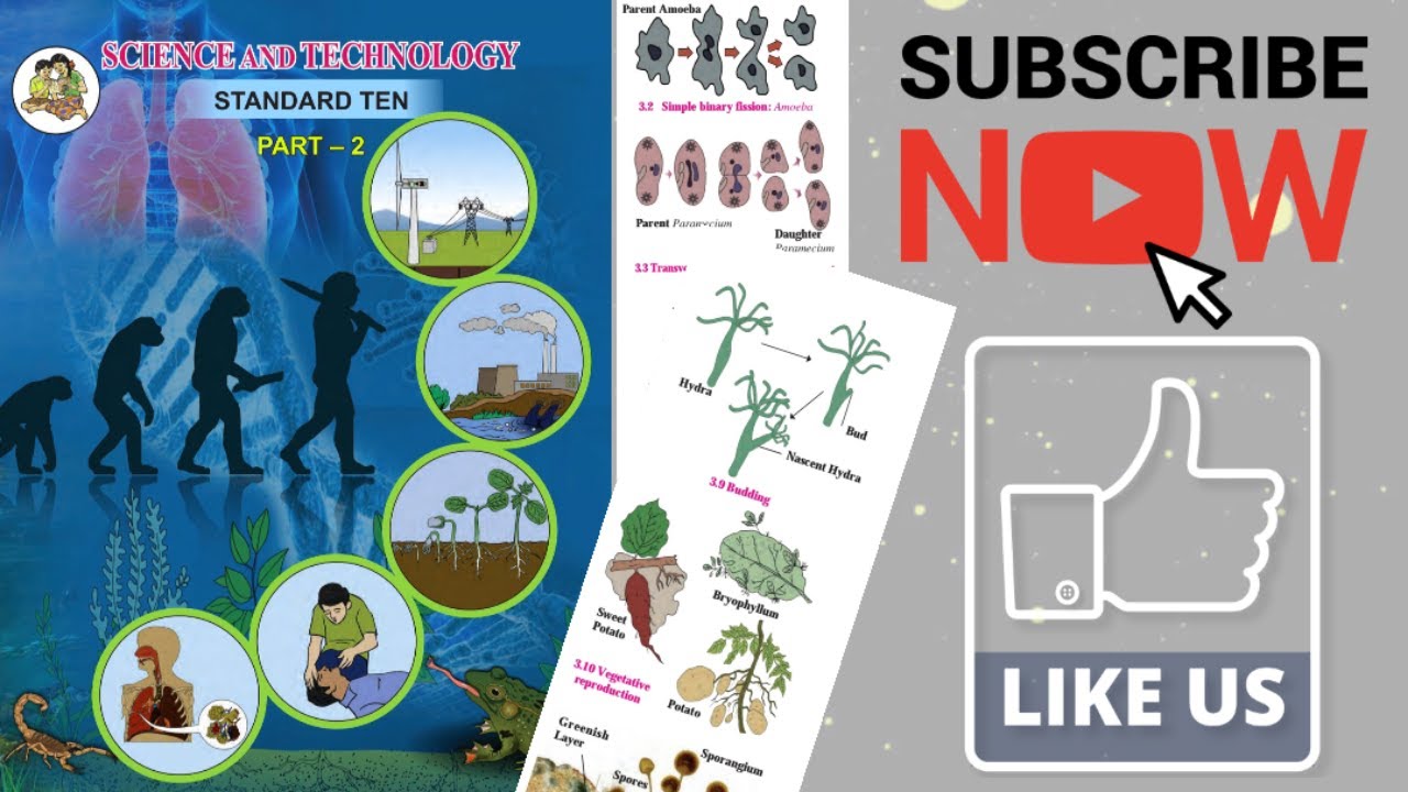 Meaning of Reproduction ,Types of Reproduction , Asexual Reproduction and its methods. - YouTube