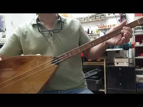 Karaağaç kısa bağlama 