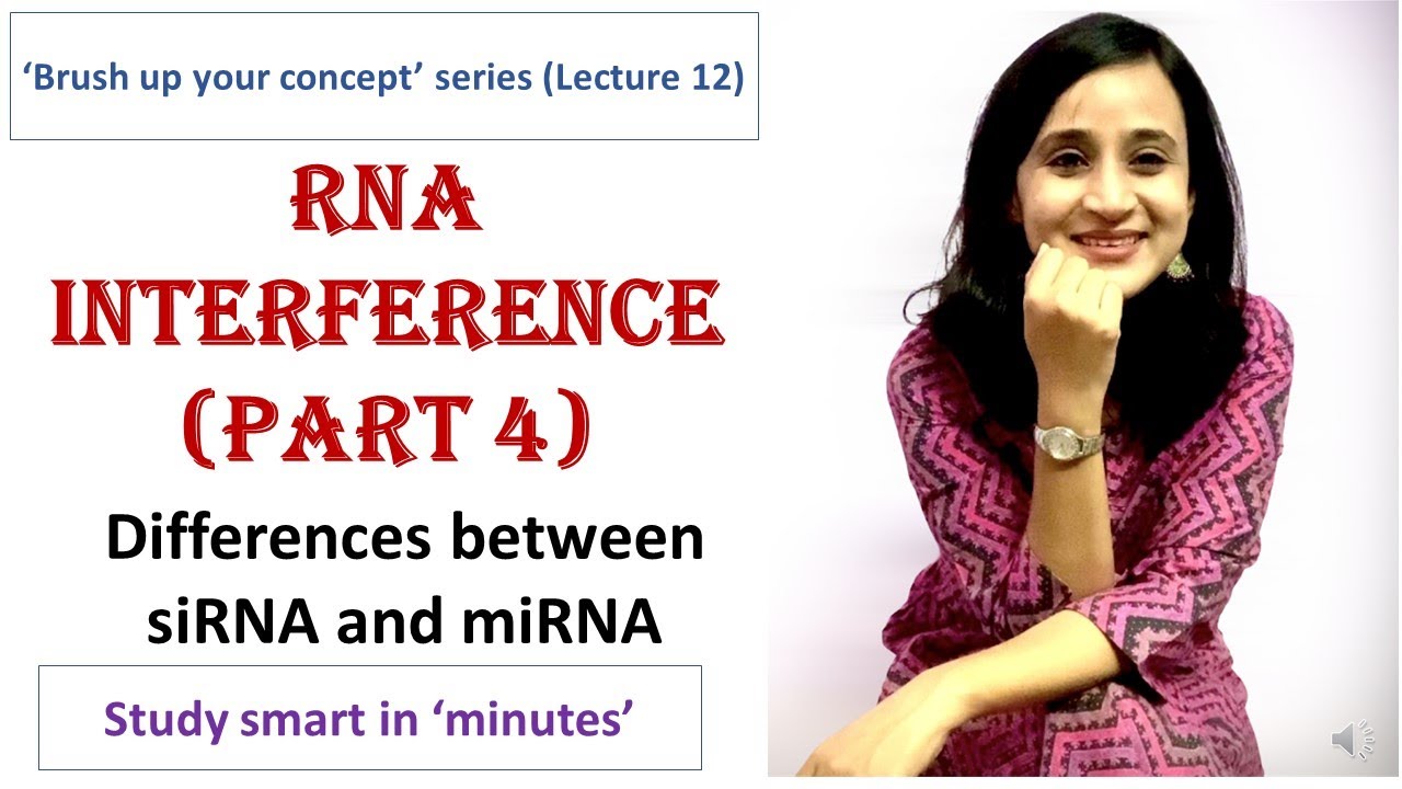 siRNA vs miRNA | The differences | Gene silencing techniques - YouTube
