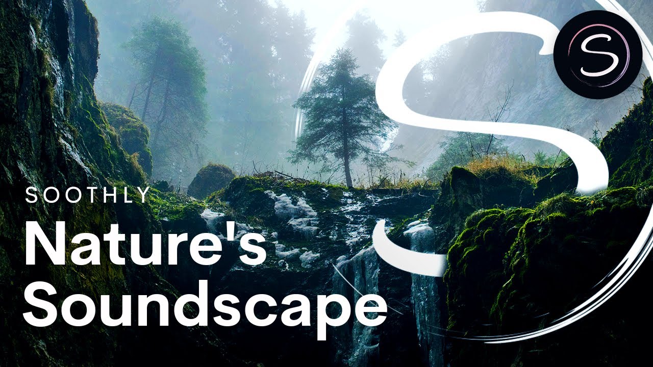 Nature's Soundscape - Relaxing Music In Natural Ambient - YouTube