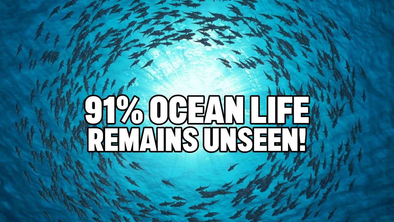 10 Most Unseen Ocean Creatures in 2023 - YouTube