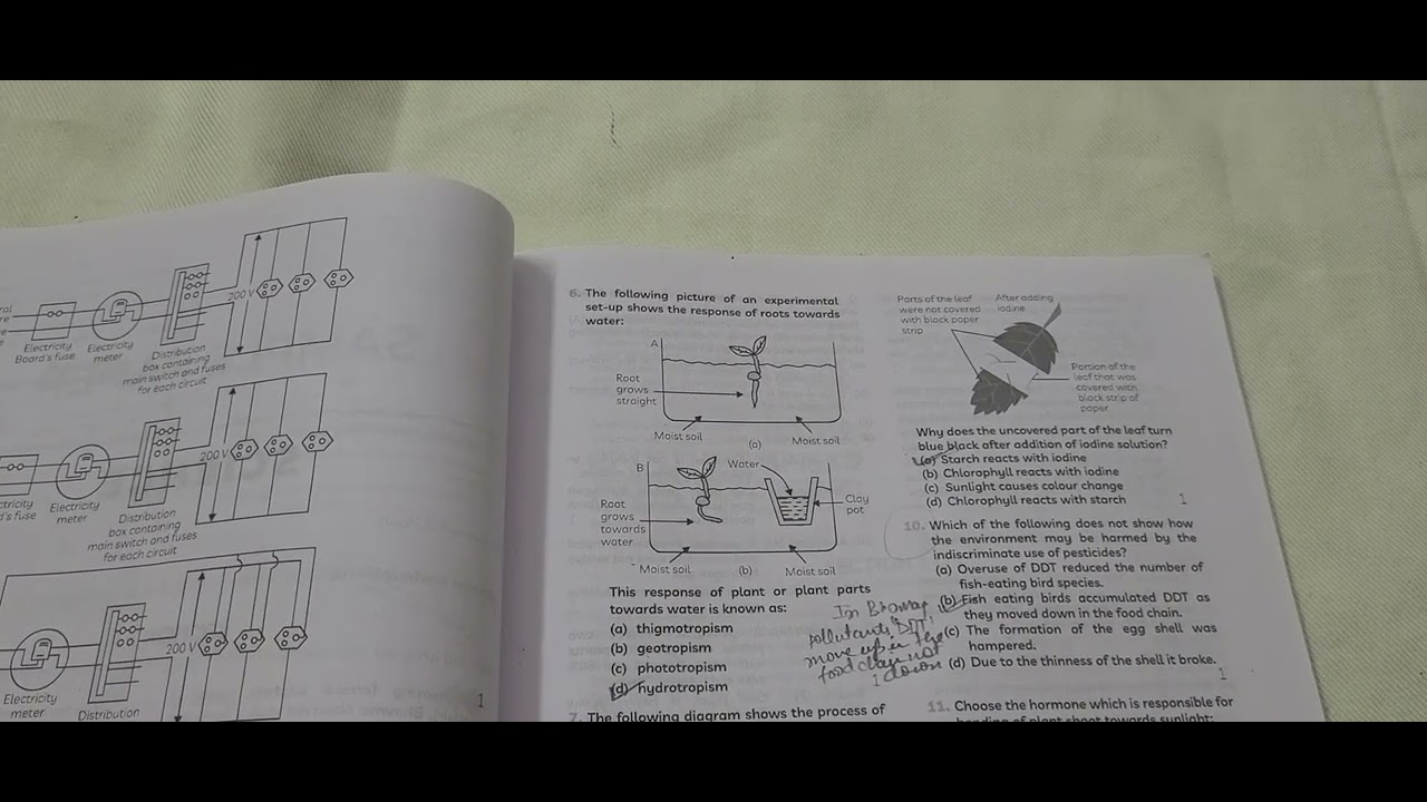 (All MCQs) Science Class 10 All Chapters - Part 1 - YouTube