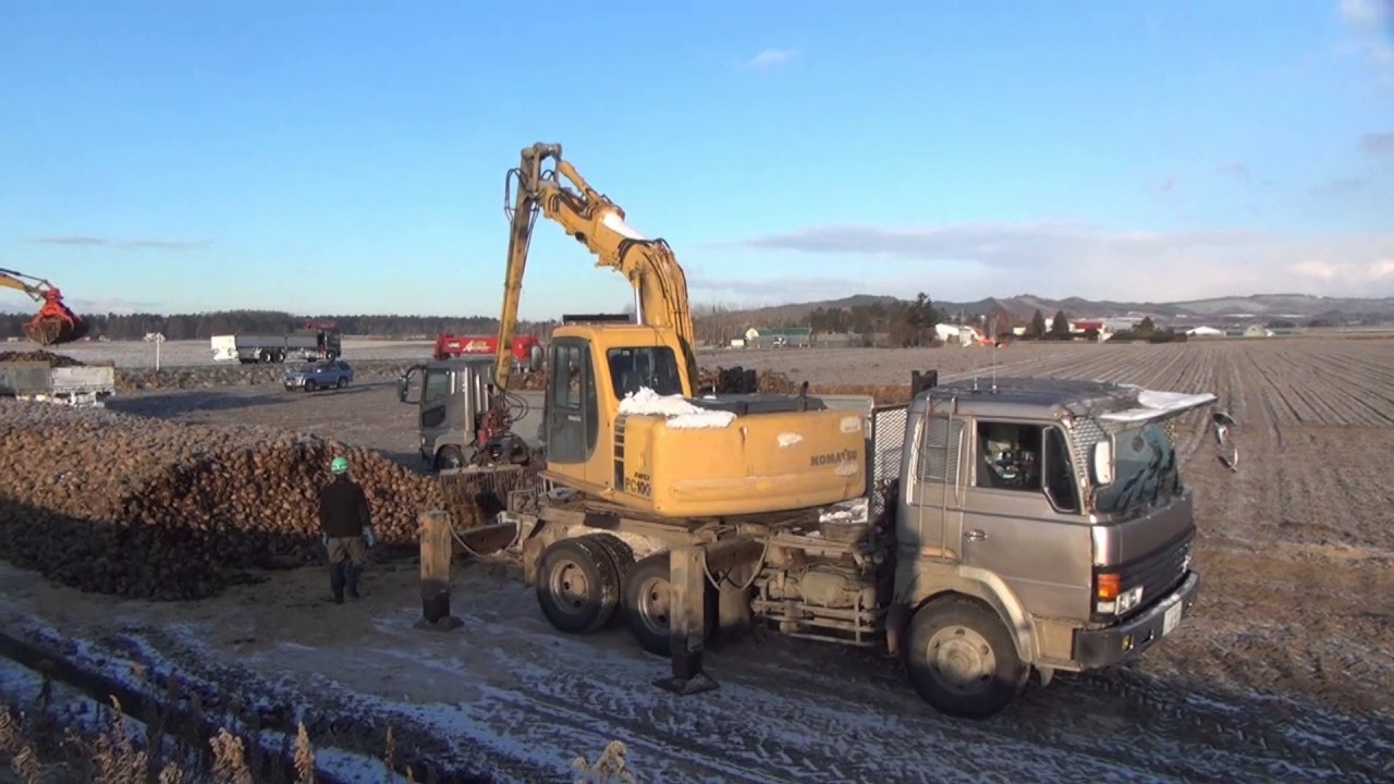 Loading of sugar beet ﾋﾞｰﾄ積込 - YouTube