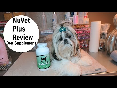 NUVET Plus Review