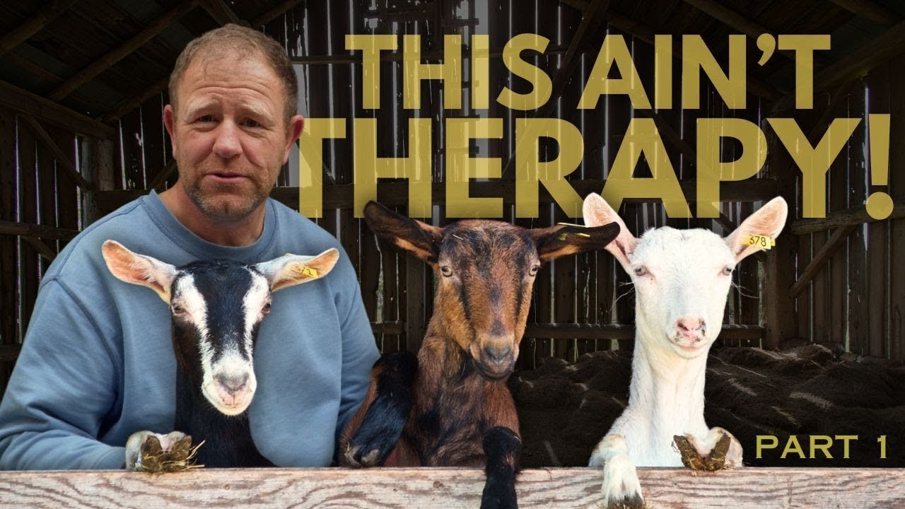 I Tried Goat Therapy For 30 Days! - YouTube