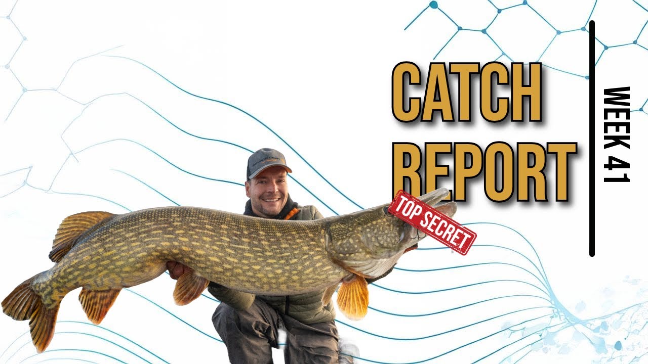Weekly Catch Report #5 - Week 41 - YouTube