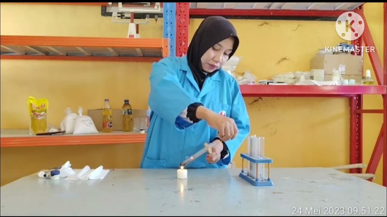 6c 35031 HAMIDAH, S Pd I PRAKTIKUM BERBAHAN KIMIA DAPURLOKAL - YouTube