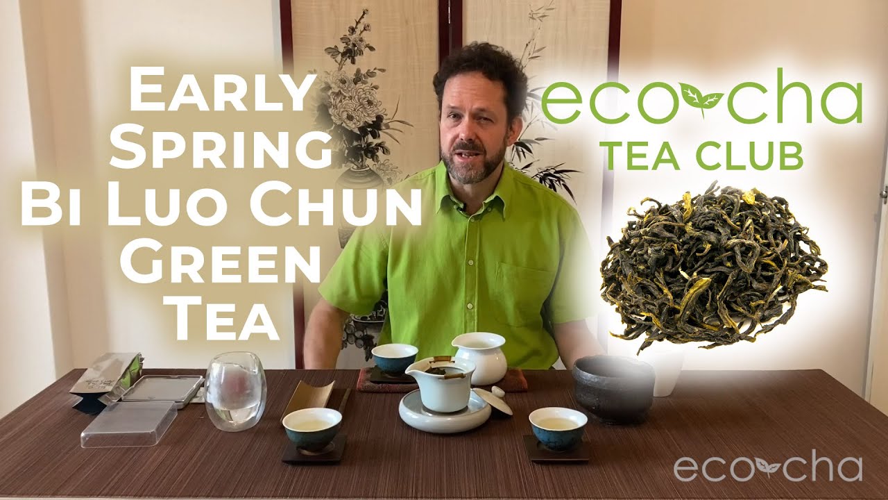 Eco-Cha Tea Club: #53 - Early Spring Bi Luo Chun Green Tea 早春碧螺春錄茶 ...