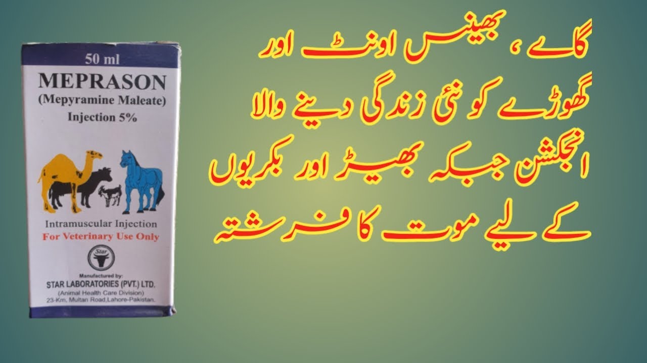 Meprason Injections For Animals| Anti Allergic Injections میپراسان ...