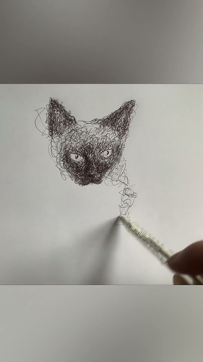 The Freedom of Scribbling: Exploring Creativity on Paper: Cat #shorts # ...