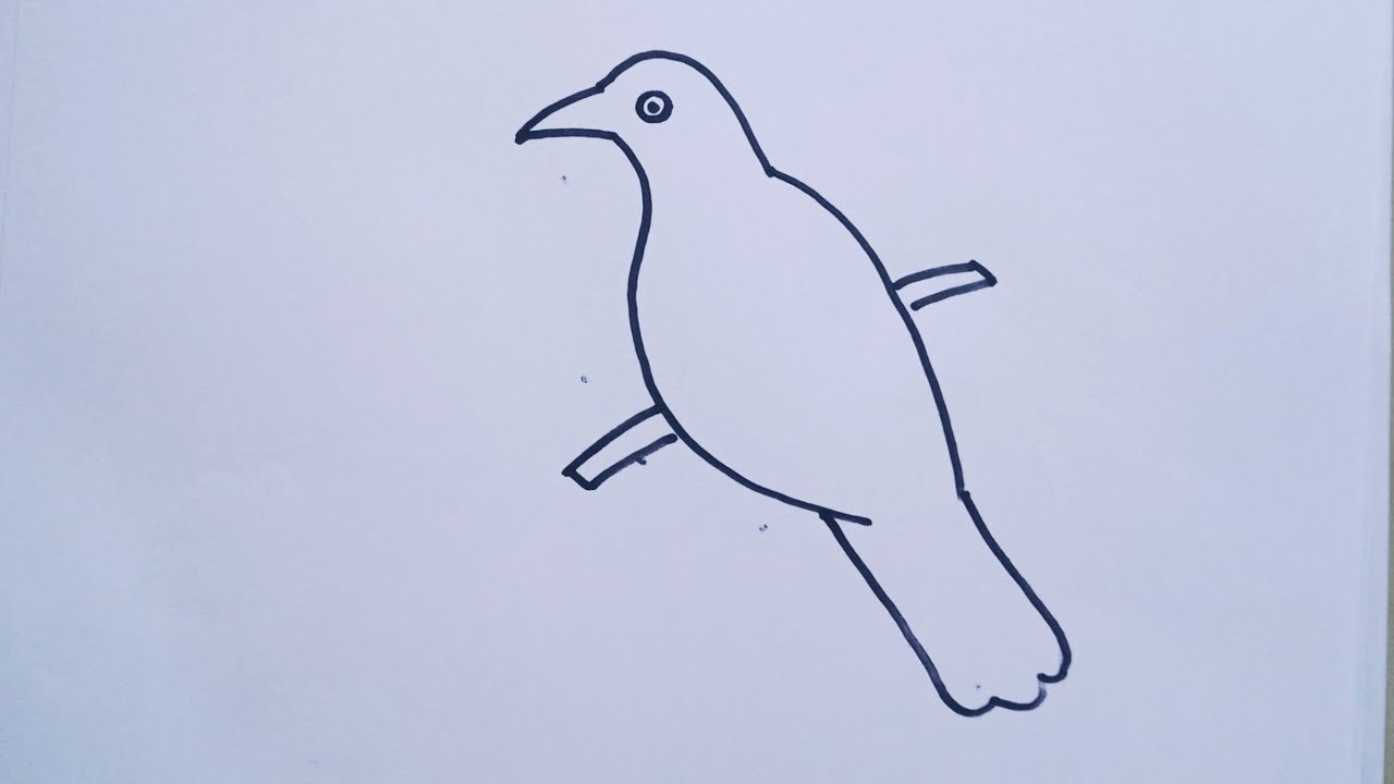 How to draw a crow//simple and very easy drawing step by step//crow ...