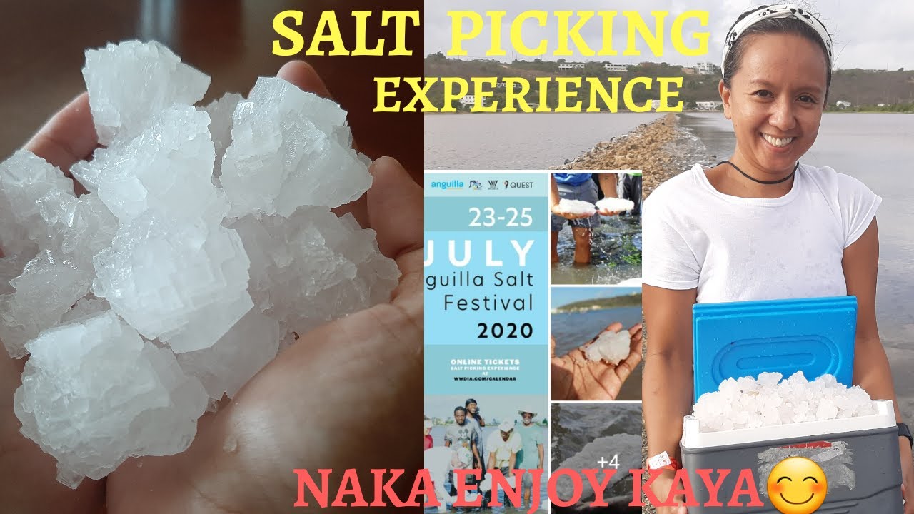Part 2 ANGUILLA SALT FESTIVAL 2020 (SALT PICKING EXPERIENCE) - YouTube