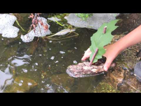 Letting Go: Metaphor Monday #18 - YouTube
