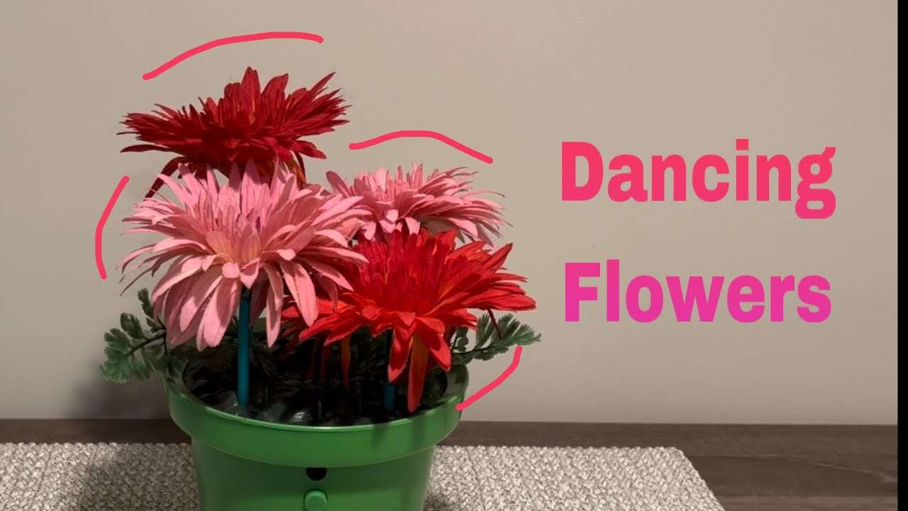Dancing Summertime Flowers - YouTube