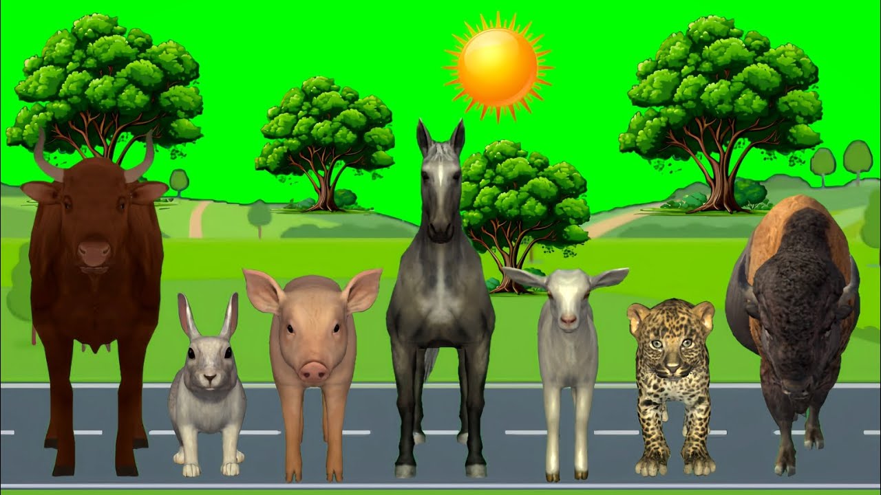 Animals ZOO escape green screen | Animals stampede | Animals running ...