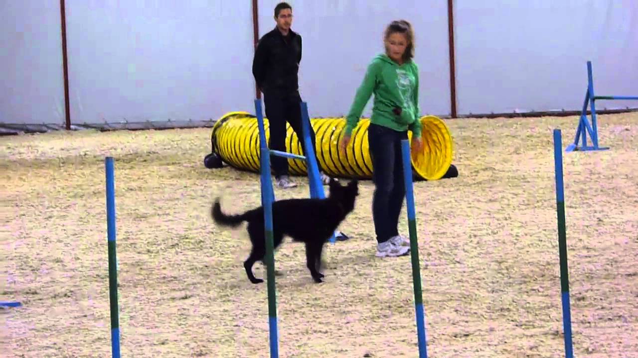 Training with Tráj Tamás - YouTube