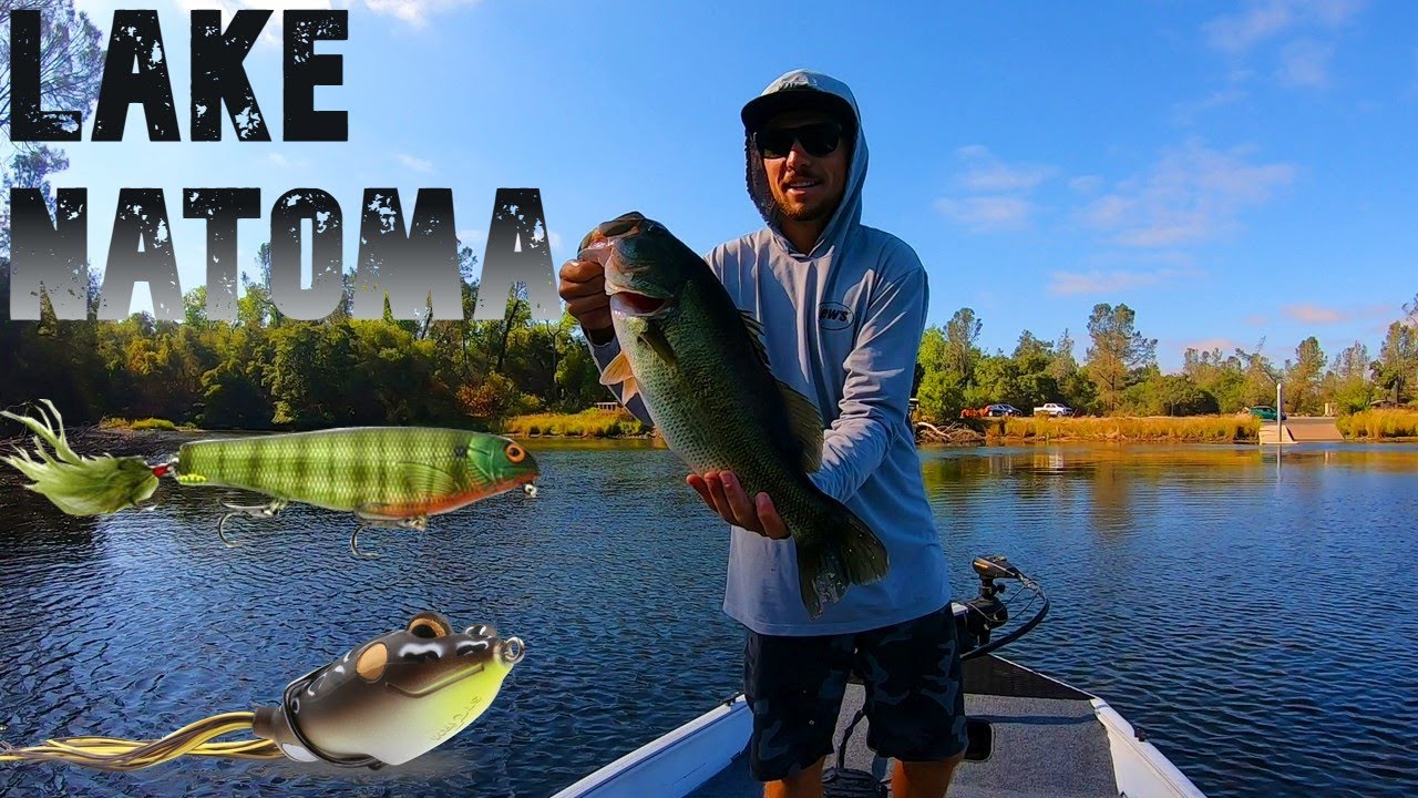 LAKE NATOMA TOPWATER FISHING - THIS PLACE IS AWESOME - LAKE NATOMA BASS ...