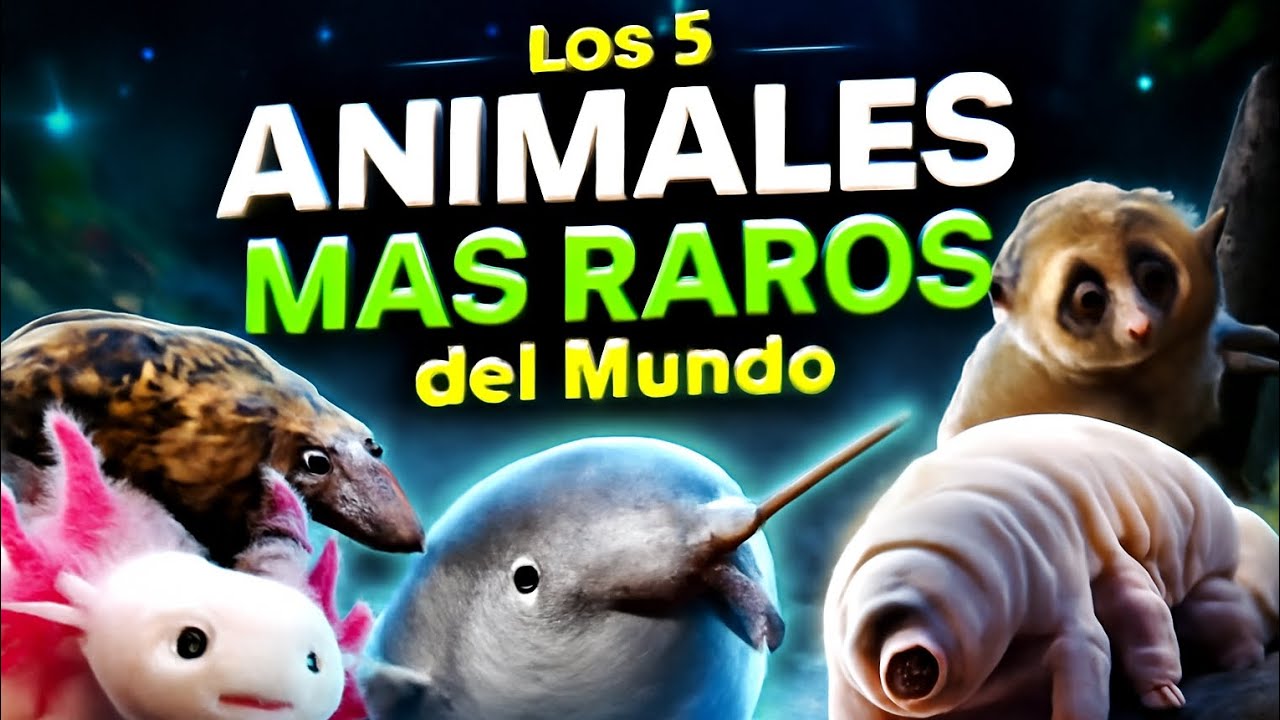 LOS 5 ANIMALES MÁS RAROS DEL MUNDO - YouTube