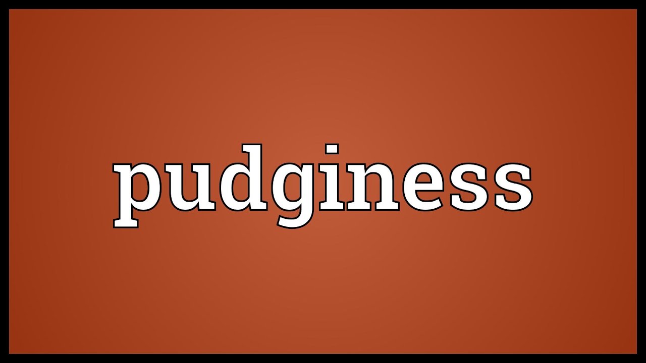 Pudginess Meaning - YouTube