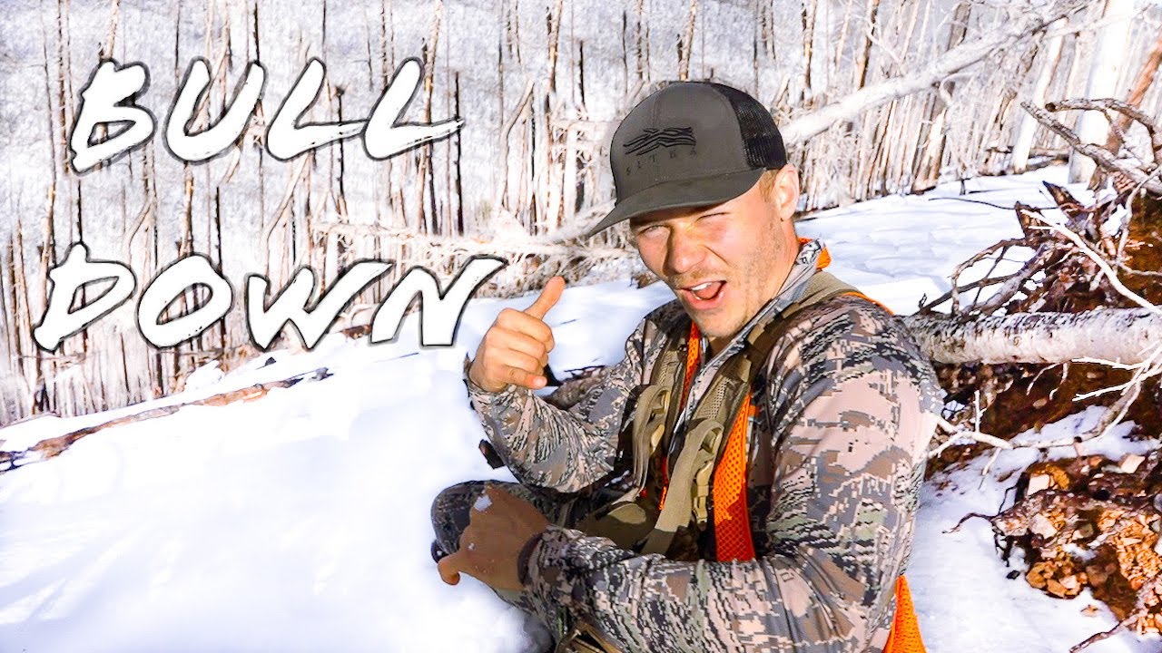 High Country | Bull Down | EP.1 | Public Land - YouTube