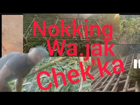 Nokking wa.jak chekka || short vlogs vedio - YouTube